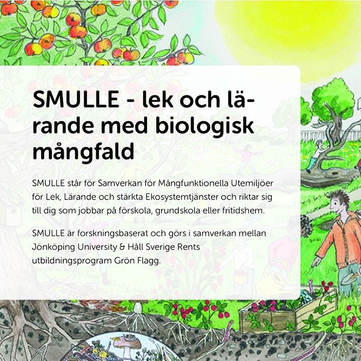 Odla med dina elever – tips för att starta en skolträdgård.