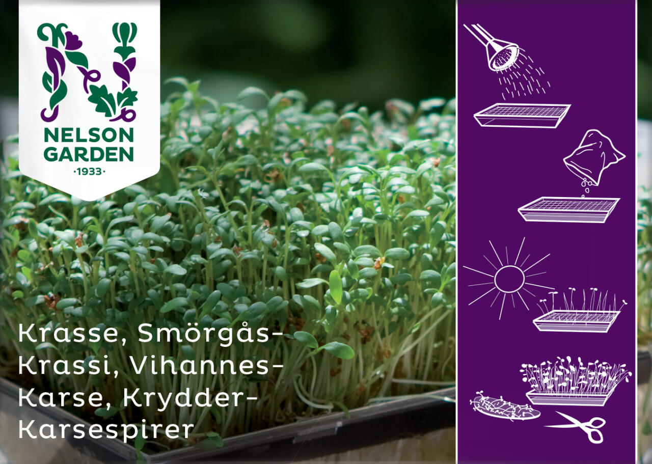 Odla i oktober | Nelson Garden