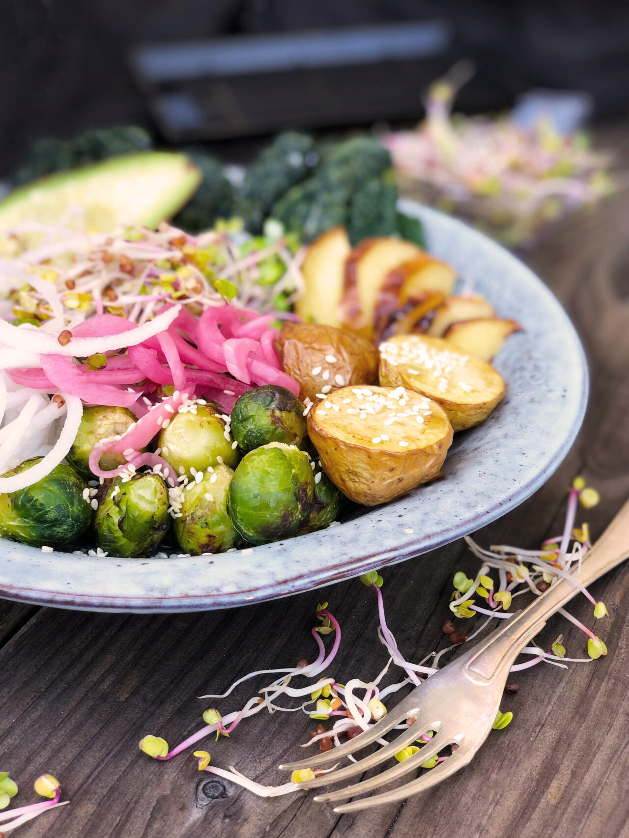 Våra produkter | Nelson Garden