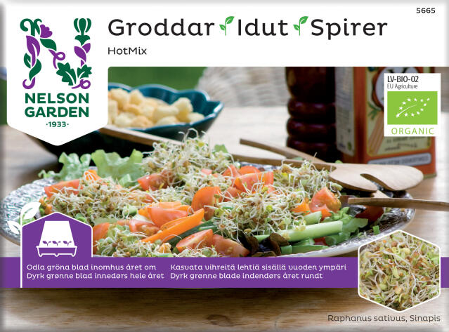 Odla groddar – så här gör du I Odla inomhus