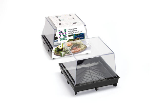 Odla groddar – så här gör du I Odla inomhus