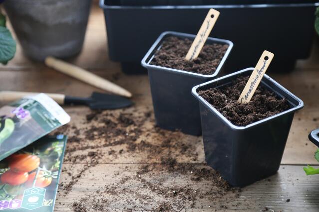 Minidrivhus Rootmaster | Nelson Garden