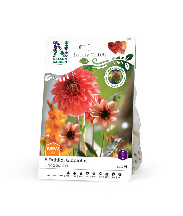 Silverlök 'Snowball' | Nelson Garden